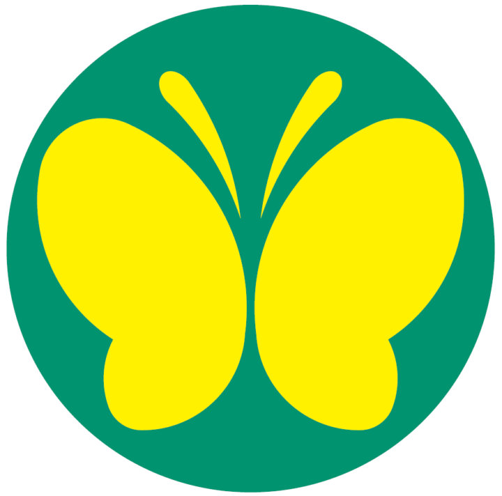 Do You Know 4 Types of Japanese Driver’s Stickers on Cars? | Guidable ...