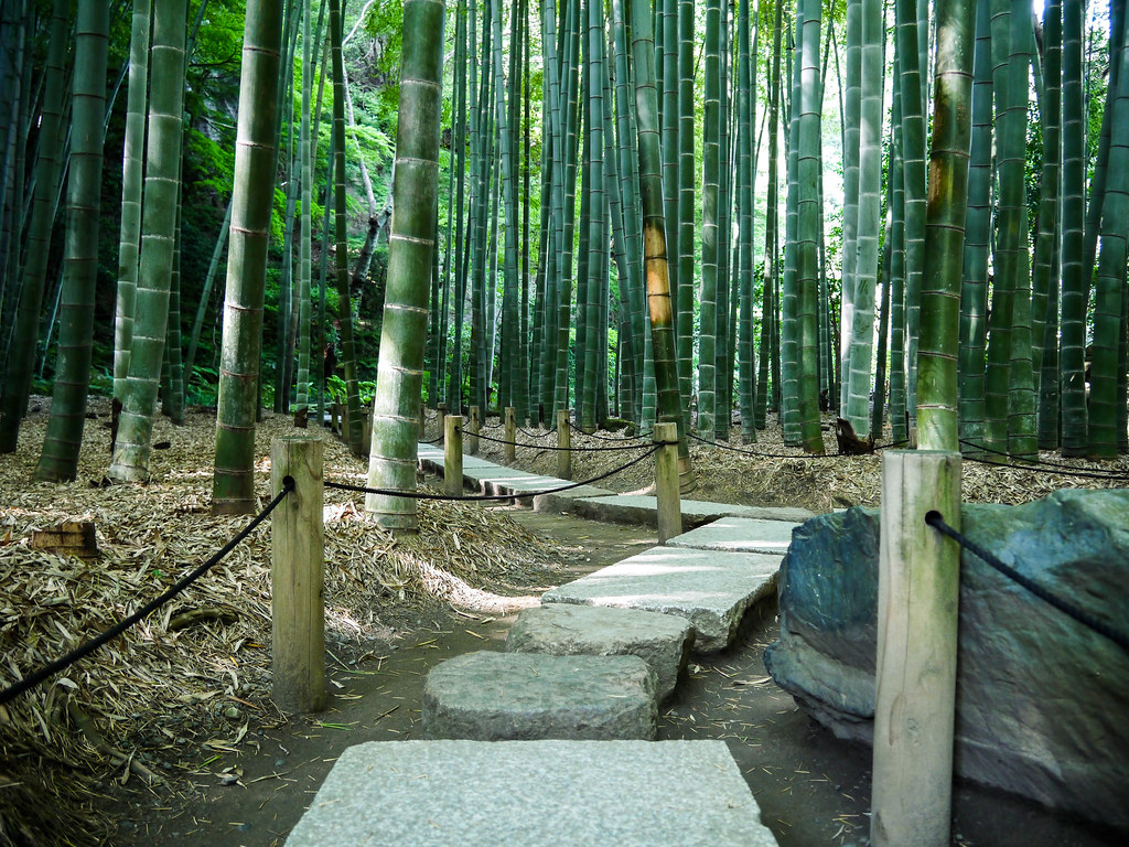 Things To Do in Kamakura: A Weekend Guide | Guidable - Your Guide to a ...