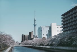 All You Need to Know About Japan’s Sumida River | Guidable - Your Guide ...