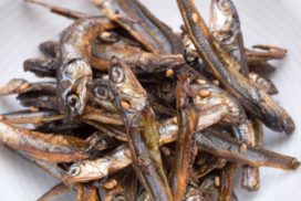 Surume And Other Weird Traditional Japanese Snacks | Guidable - Your ...