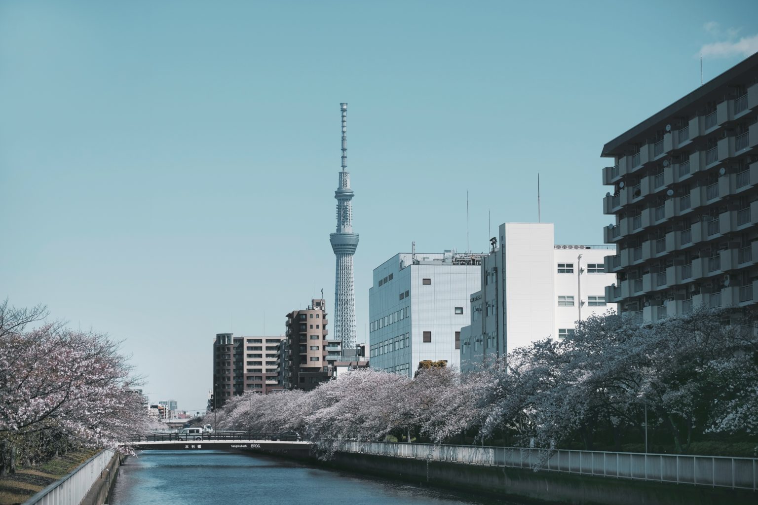 Sumida River: The Best Riverside Spot in Tokyo | Guidable - Your Guide ...