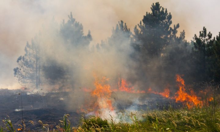 Natural Disasters in Japan: What Foreign Residents Need to Know to Stay ...