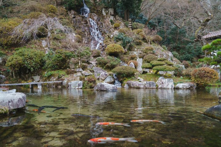 Discover Shimane: Art, Heritage, and Craftsmanship Across Yasugi, Unnan ...